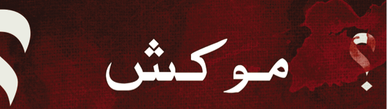 Hakkal Media released book written by Bashir Zeb